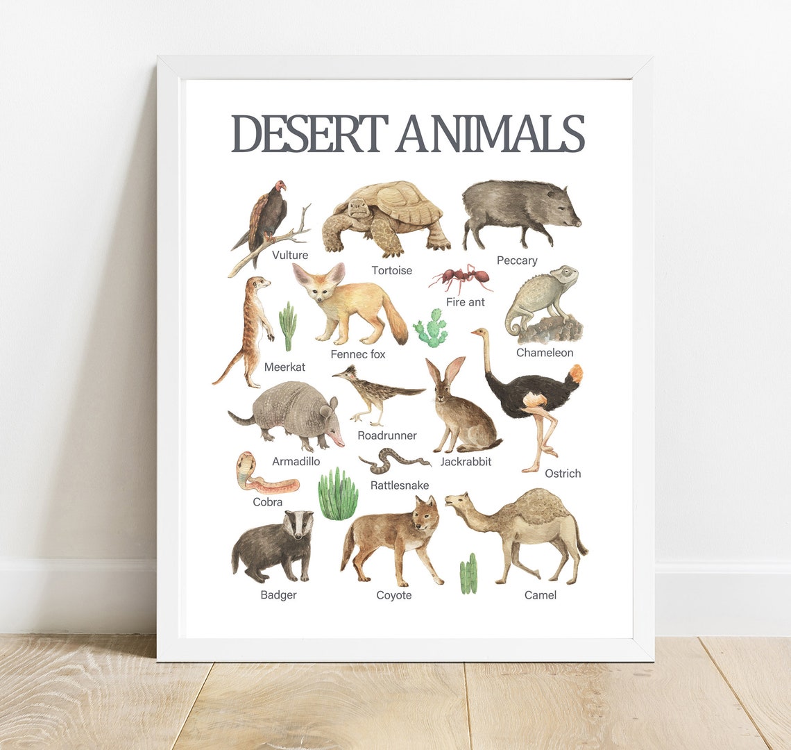Watercolor Animals Print (set of 9) : Educational Nursery Decor ...