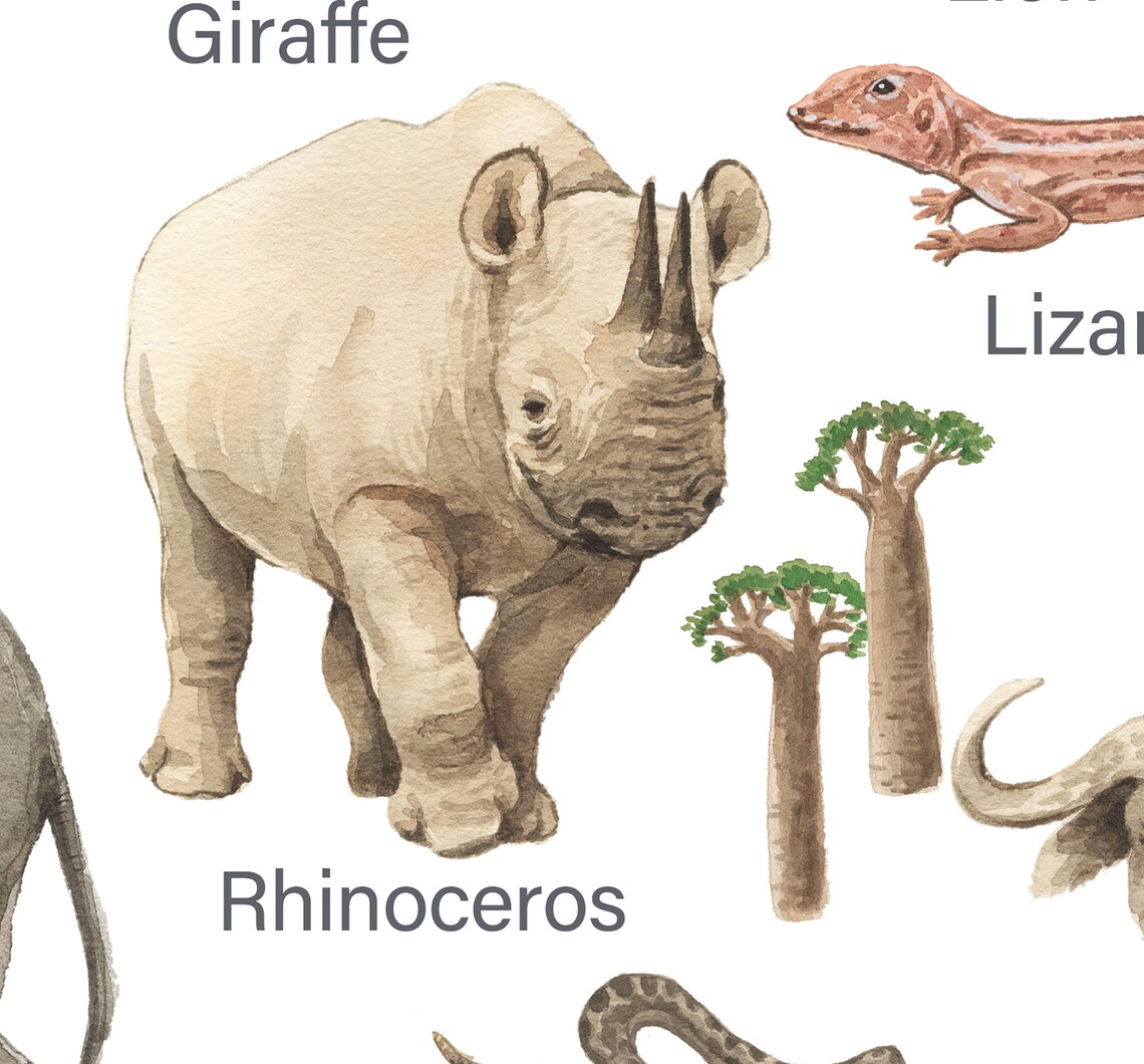 African Animals Educational Printable Wall Art Learning Home | Etsy