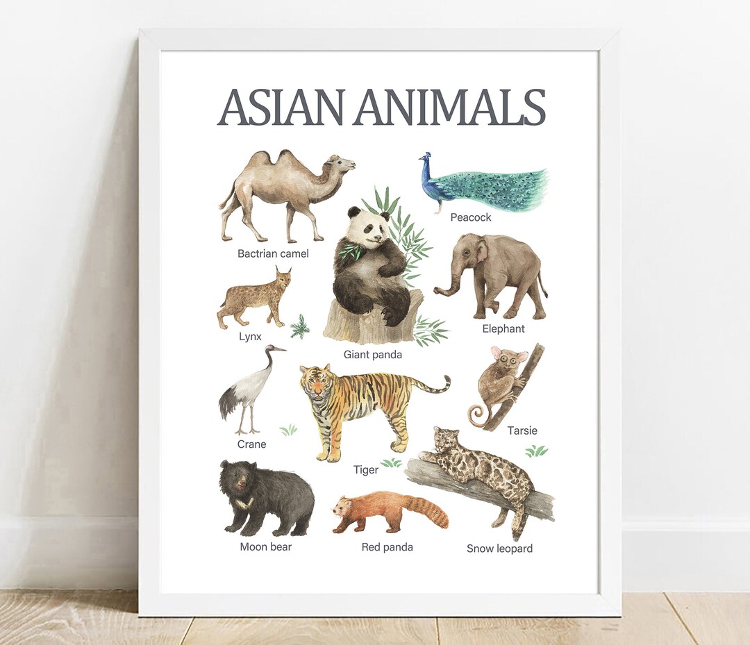Asian Animals Watercolor Print: Educational Nursery Decor (digital ...