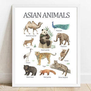 Asian Animals, Educational Printable Wall Art, Learning Home School ...