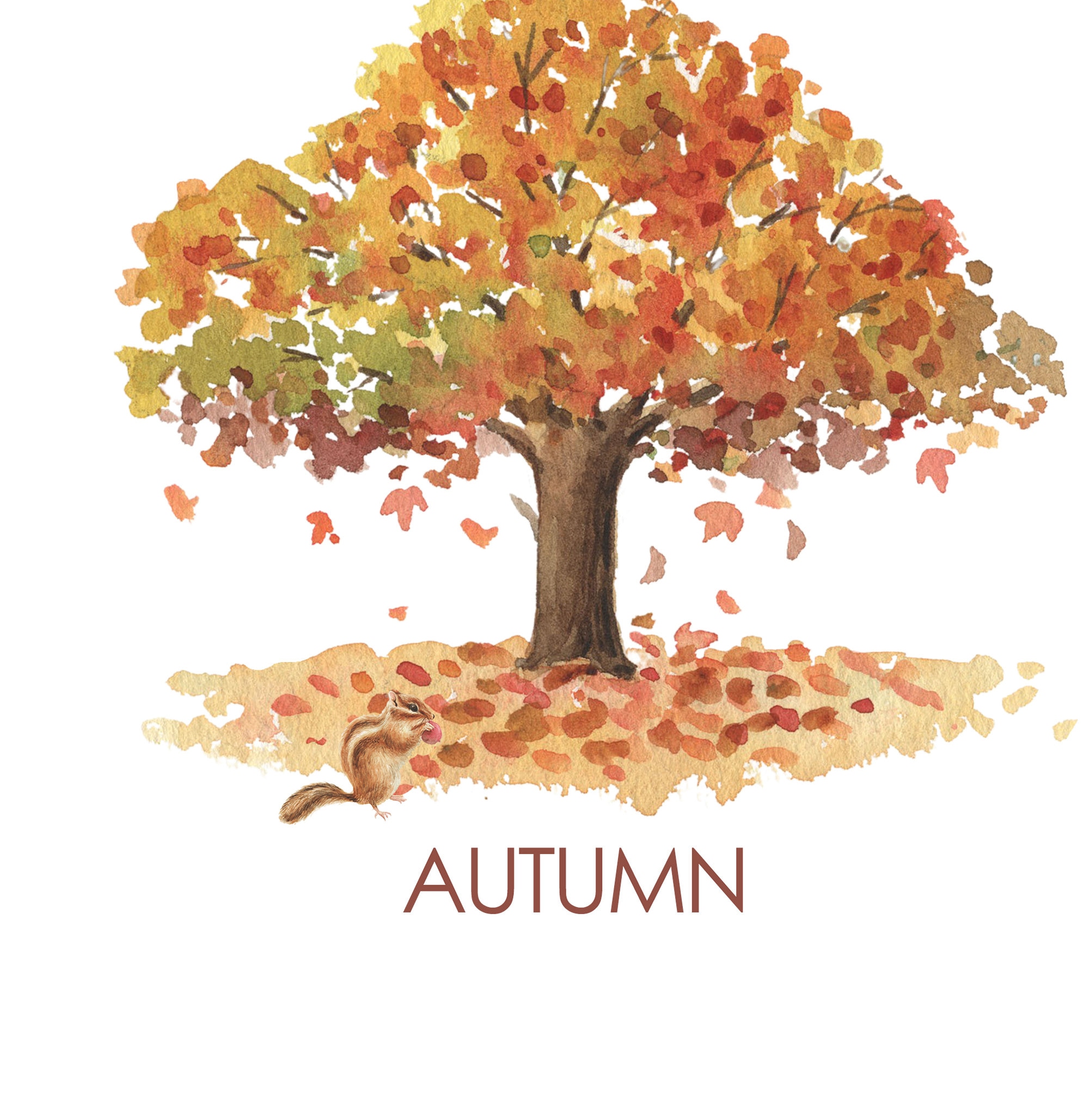 Four Seasons Educational Poster Printable Wall art Learning | Etsy