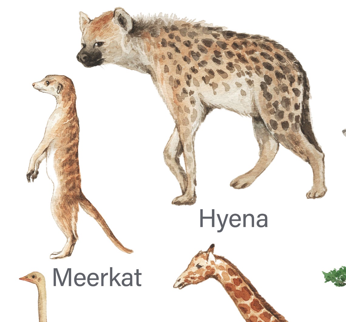 African Animals Educational Printable Wall Art Learning Home | Etsy