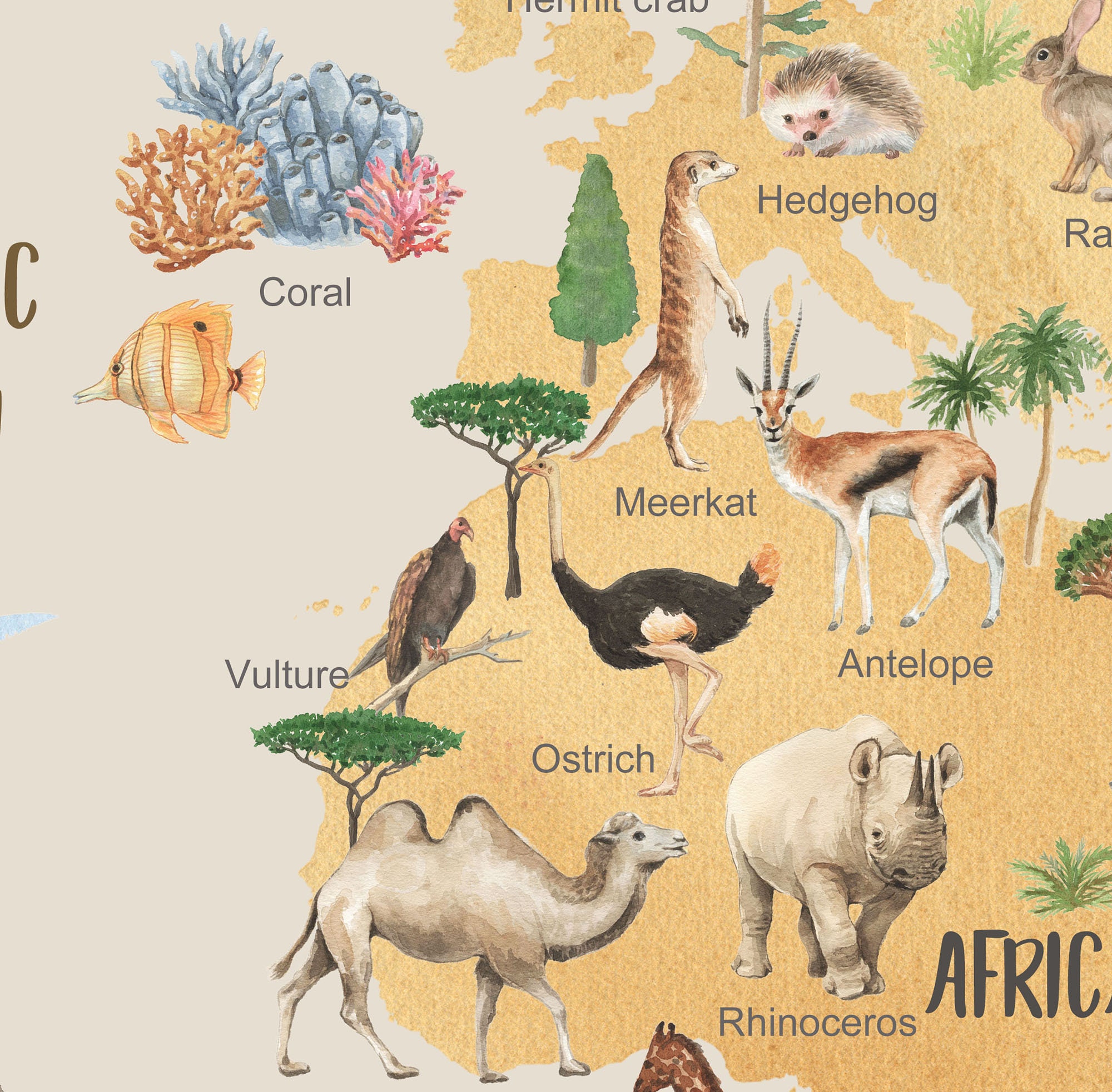 Animals World Map Watercolor World Map Kids World Map | Etsy