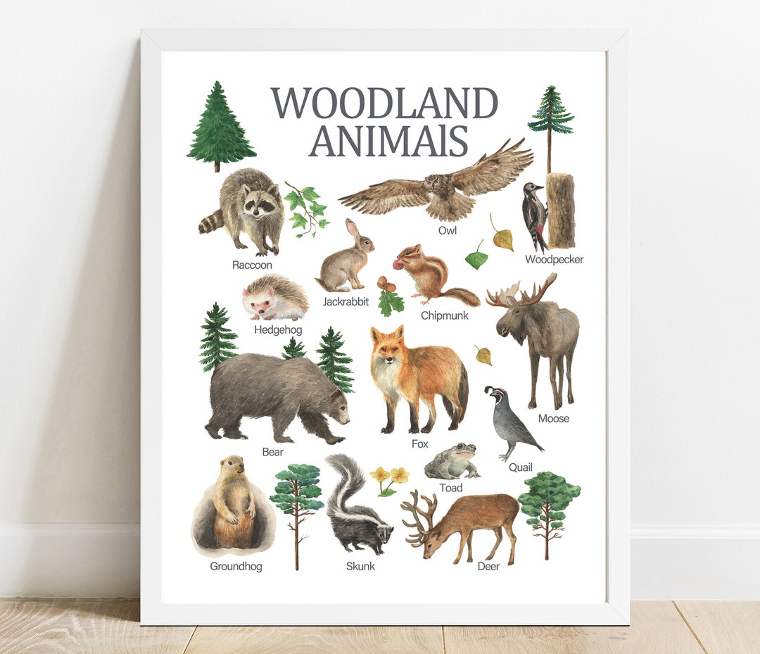Woodland Animal Wall Artanimal Poster Kids Children - Etsy