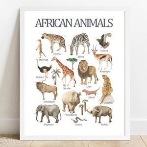 Animals set 6 Educational Printable Wall Art Learning Home | Etsy