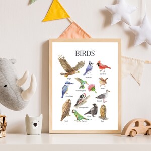 Birds Prints, Educational Printable Wall Art, Learning Home School ...