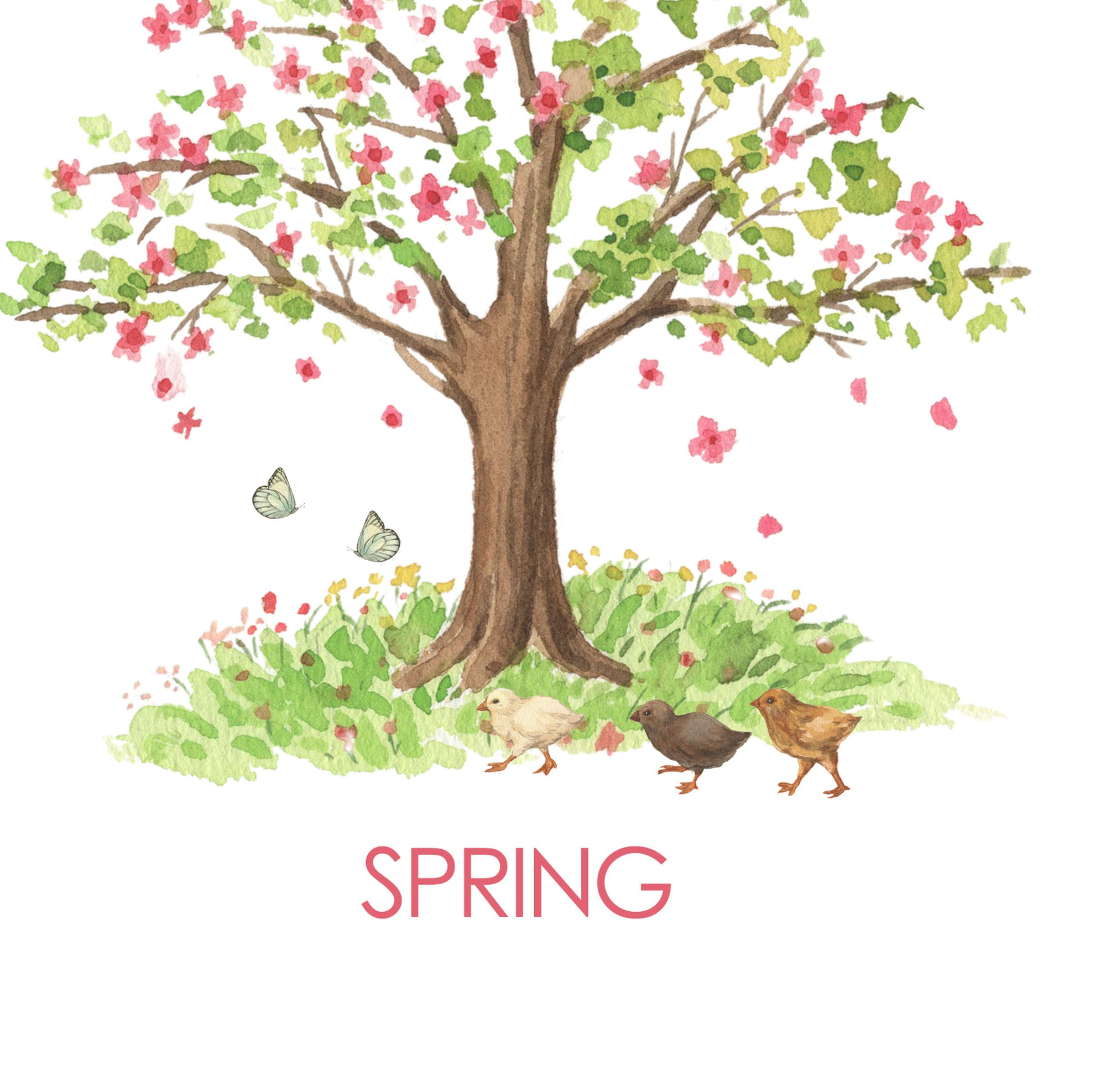 Four Seasons Educational Poster Printable Wall art Learning | Etsy