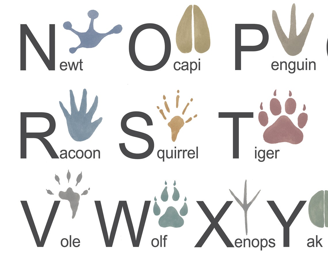 Footprint Alphabet and Number Poster Set Baby Shower Gift | Etsy