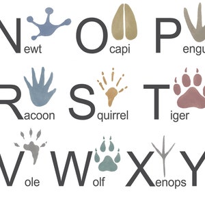 Footprint Alphabet and Number Poster Set , Baby Shower Gift, Alphabet ...