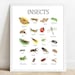 Animals Set 9, Educational Printable Wall Art, Learning Home School ...