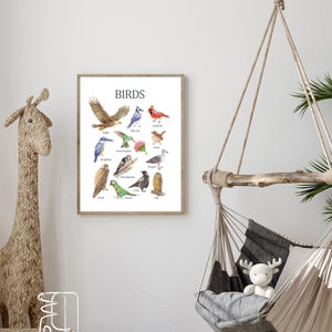 Birds Prints, Educational Printable Wall Art, Learning Home School ...