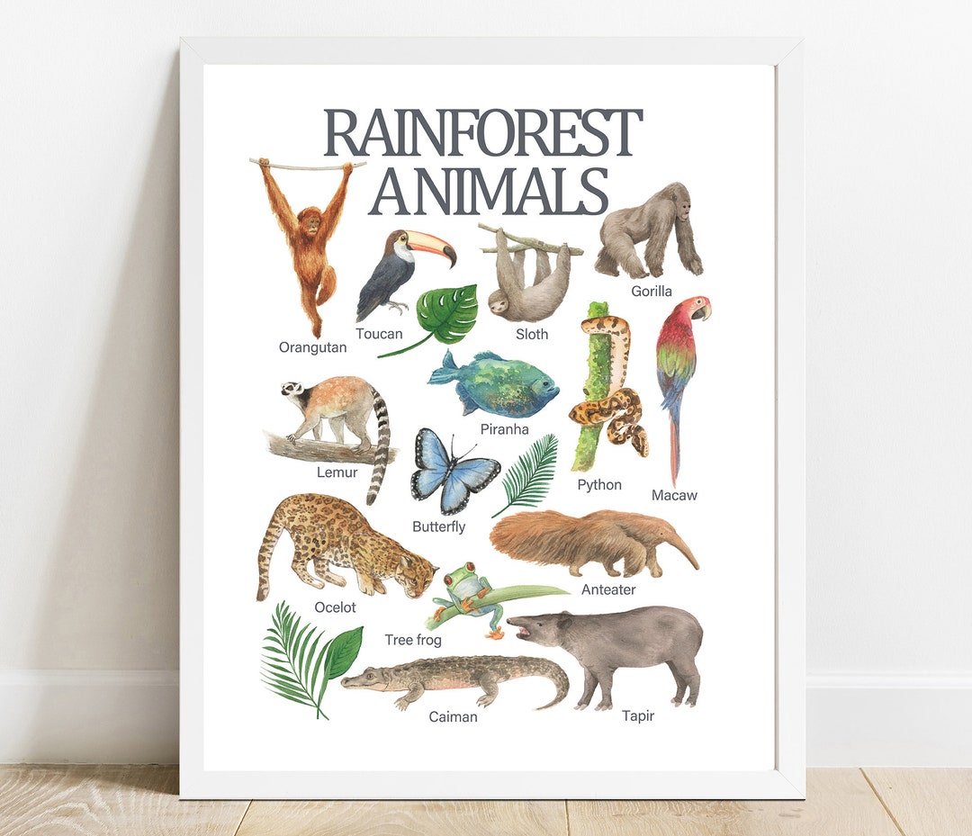 Rainforest Animals, Educational Printable Wall Art, Learning Home ...