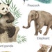 Asian Animals Educational Printable Wall Art Learning Home - Etsy