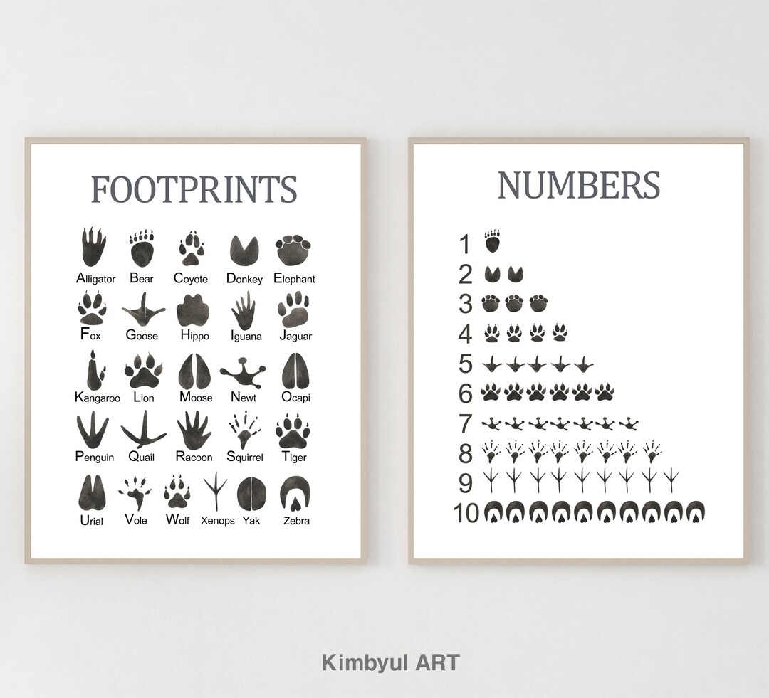 Footprint Alphabet and Number Poster Set , ABC Poster,nursery Alphabet ...