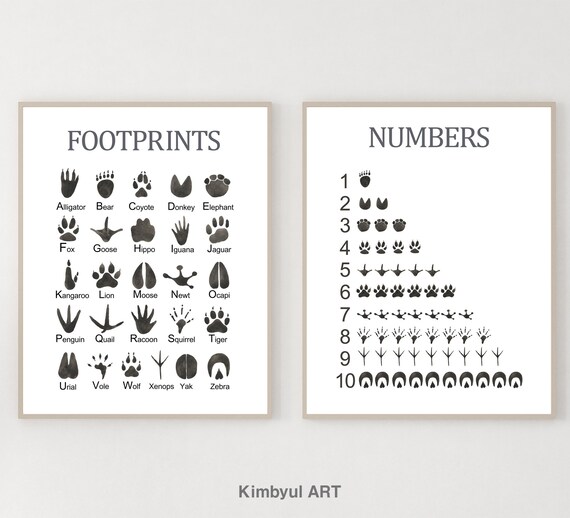 Footprint Alphabet and Number Poster Set ABC Posternursery | Etsy