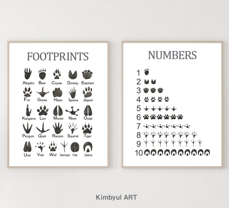 Footprint Alphabet and Number Poster Set ABC Posternursery - Etsy