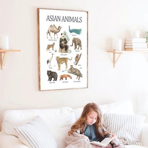 Asian Animals, Educational Printable Wall Art, Learning Home School ...