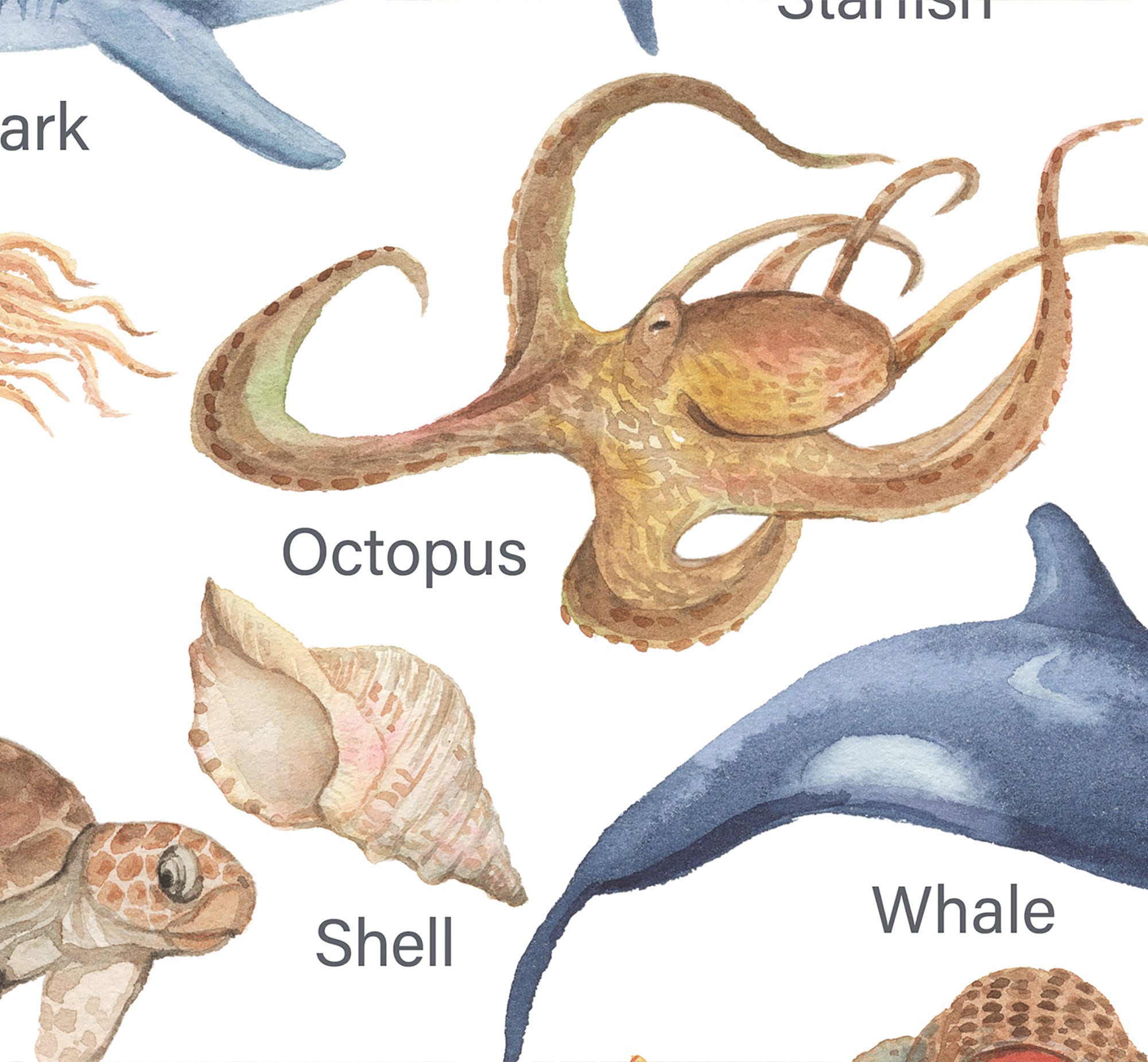 Sea Animals Educational Printable Wall Art Learning Home | Etsy