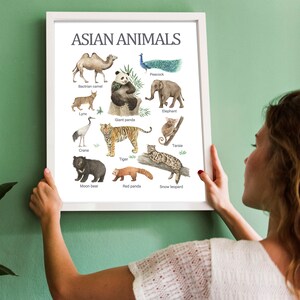 Asian Animals, Educational Printable Wall Art, Learning Home School ...
