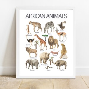 Animals Set 9, Educational Printable Wall Art, Learning Home School ...