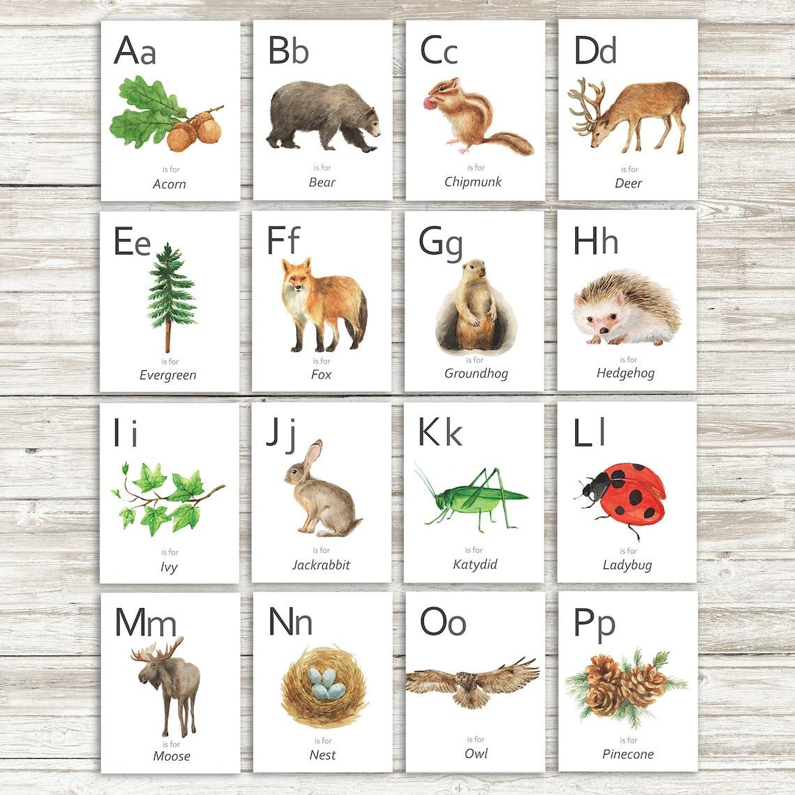 Woodland Flash Cards Printable ABC Cards Alphabet Cards | Etsy