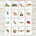 Woodland Flash Cards, Printable ABC Cards, Alphabet Cards, Nursery ...