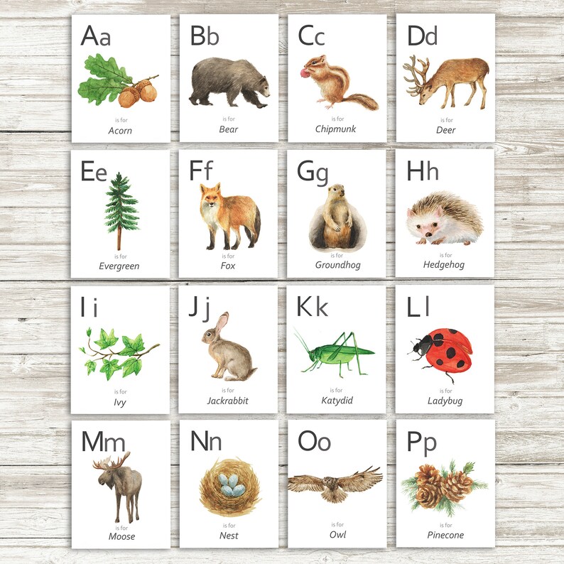 Woodland Flash Cards Printable ABC Cards Alphabet Cards | Etsy
