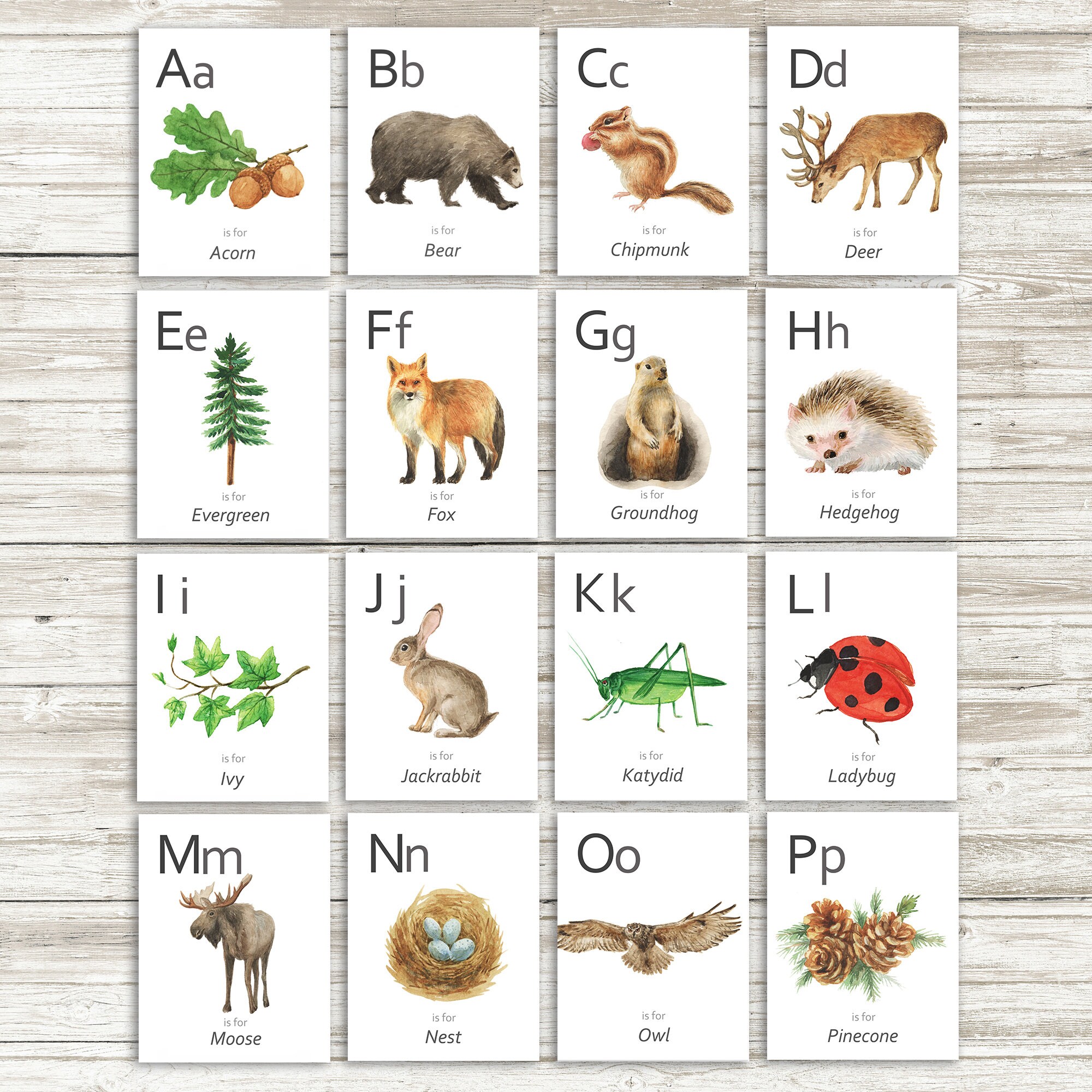 Woodland Flash Karten Druckbare ABC Karten Alphabet Karten | Etsy