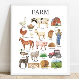 Shipped_educational Farm Classroom, Farm Animals, Learning Home School ...