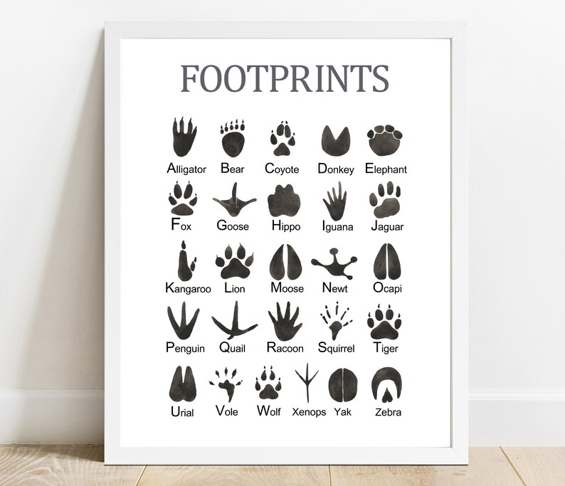 Footprint Alphabet and Number Poster Set ABC Posternursery - Etsy