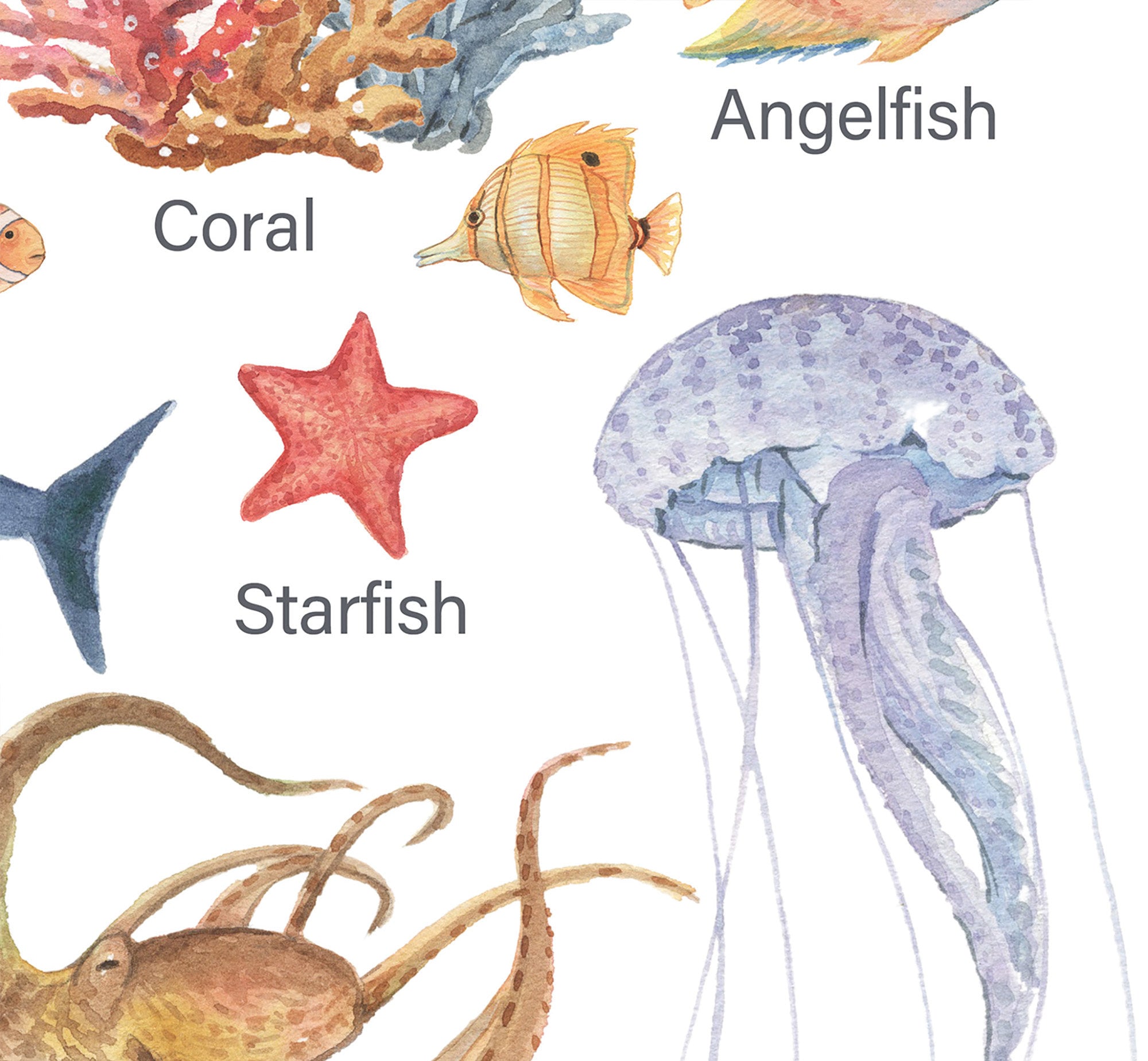 Sea Animals Educational Printable Wall Art Learning Home | Etsy