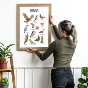 Birds Prints, Educational Printable Wall Art, Learning Home School ...