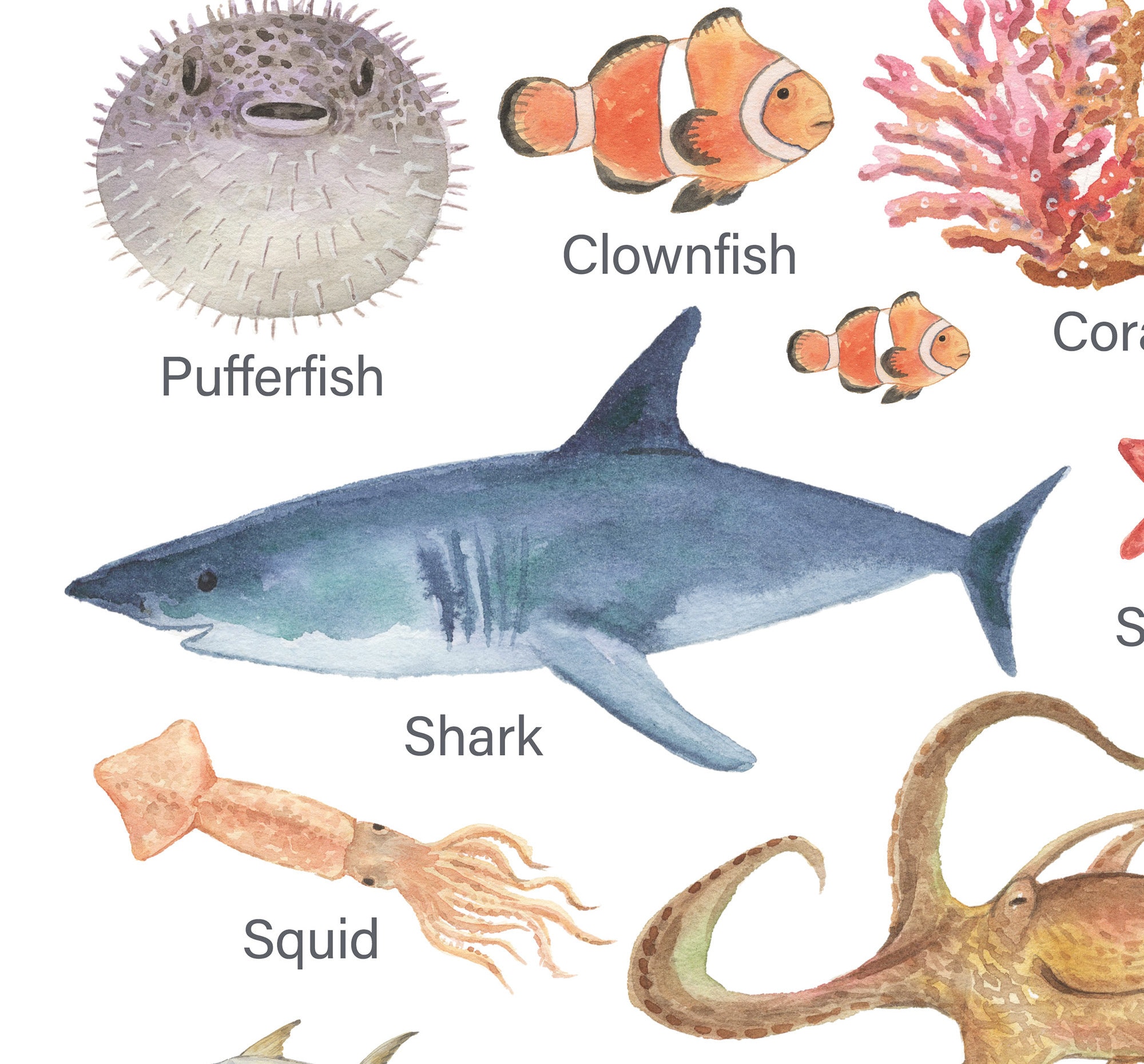 Sea Animals Educational Printable Wall Art Learning Home | Etsy