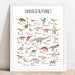 Set of 2 Dinosaur,alphabet Number Poster, Kids Children Learning ...