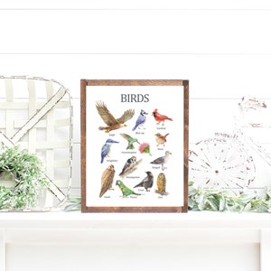 Birds Prints, Educational Printable Wall Art, Learning Home School ...