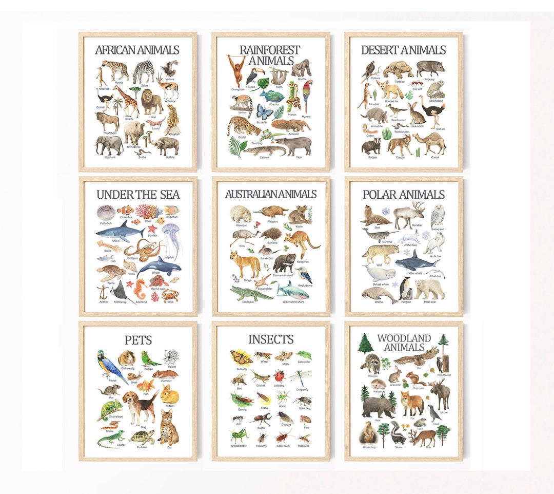 Shipped_animals Set 9, Educational Printable Wall Art, Learning Home ...