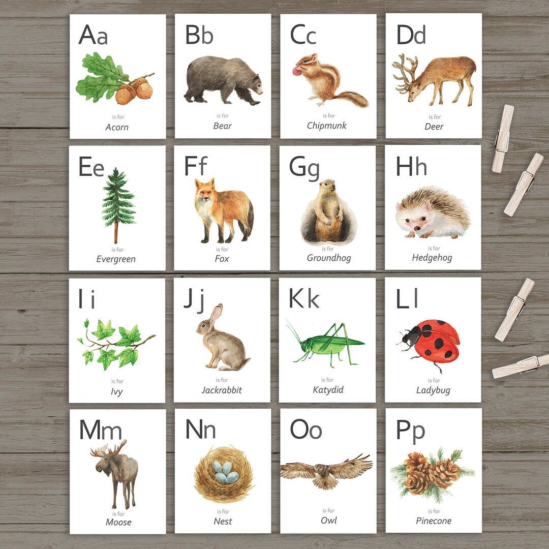 Woodland Flash Cards, Printable ABC Cards, Alphabet Cards, Nursery ...