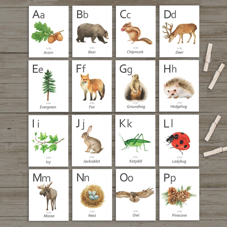 Woodland Flash Cards Printable ABC Cards Alphabet Cards | Etsy