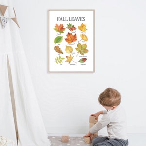 Fall Leaves Prints, Educational Printable Wall Art, Learning Home ...