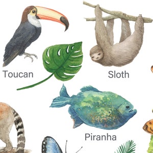 Rainforest Animals, Educational Printable Wall Art, Learning Home ...