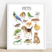 Animals Set 9, Educational Printable Wall Art, Learning Home School ...