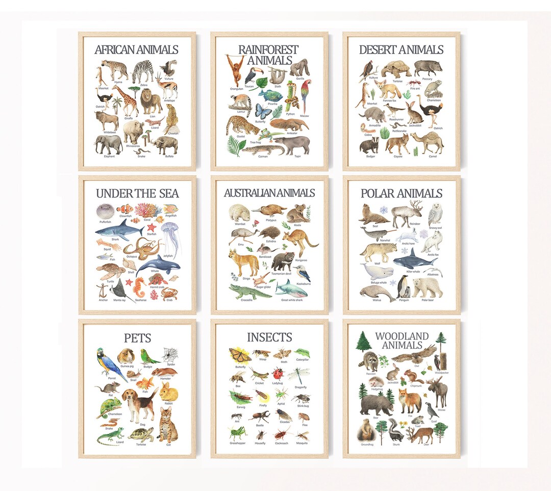 Watercolor Animals Print (set of 9) : Educational Nursery Decor ...