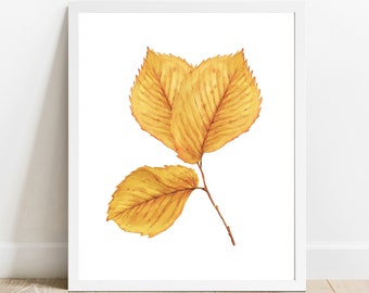 3d Fall Paper Leafs Origami Autumn Leaves DIY Printable Fall - Etsy