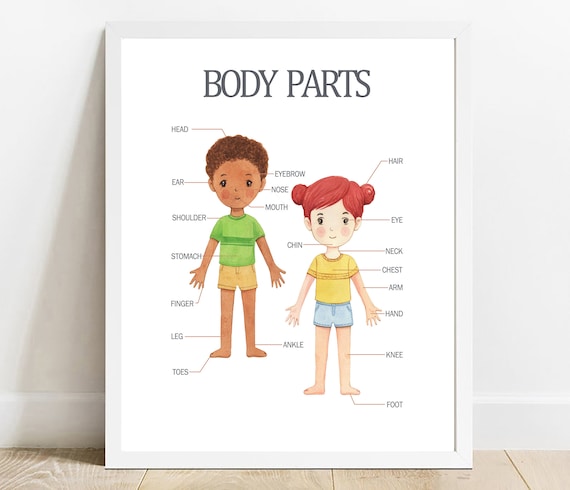 Body Parts Print Learn About the Body Poster Printable - Etsy