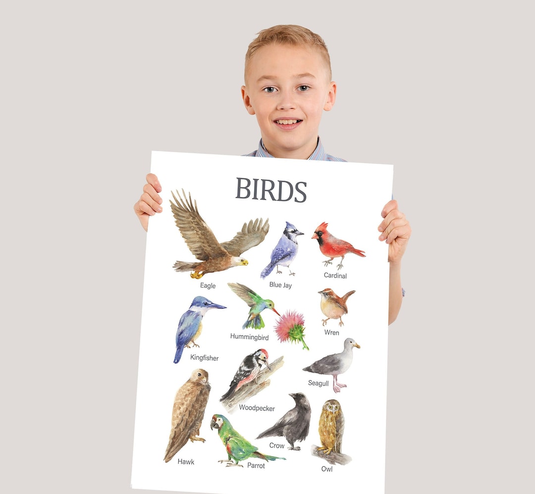 Birds Prints, Educational Printable Wall Art, Learning Home School ...