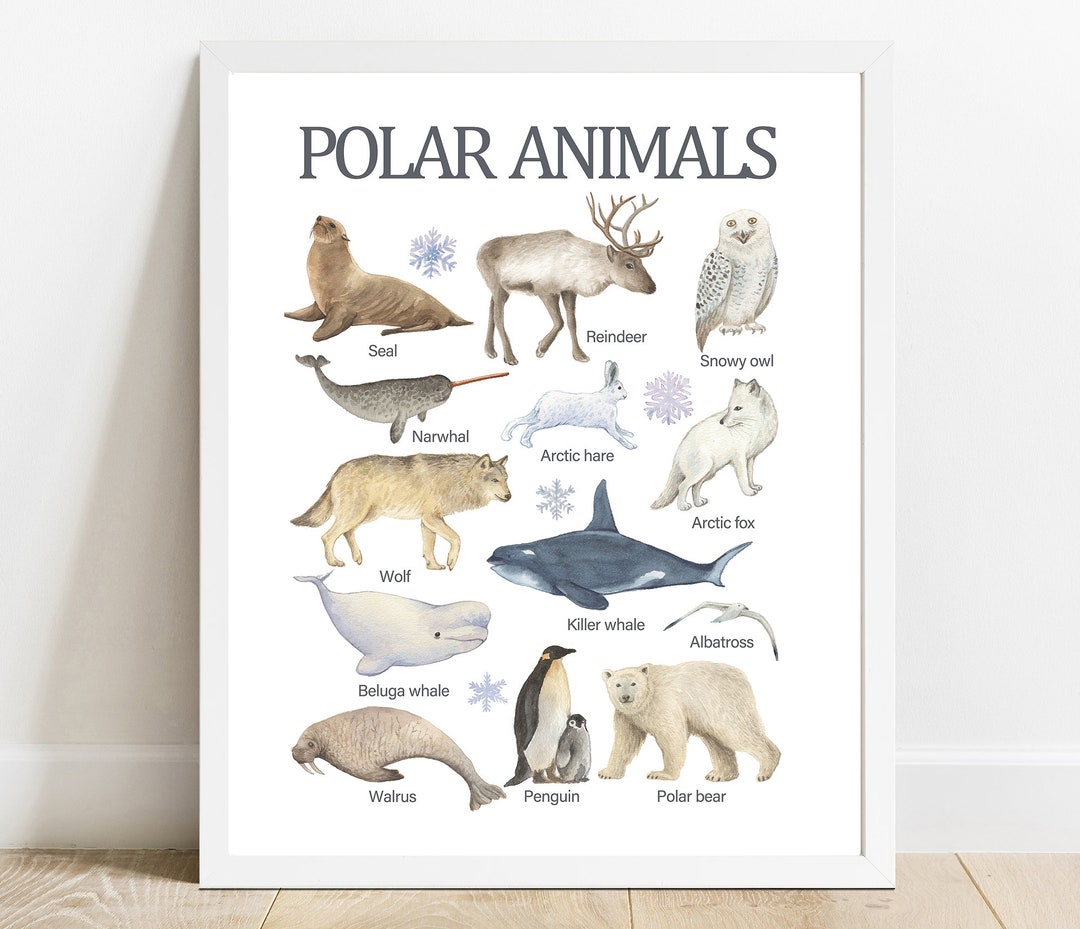 Polar Animals, Educational Printable Wall Art, Learning Home School ...