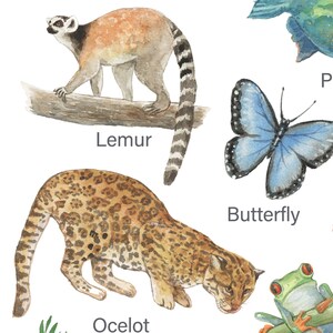 Rainforest Animals, Educational Printable Wall Art, Learning Home ...