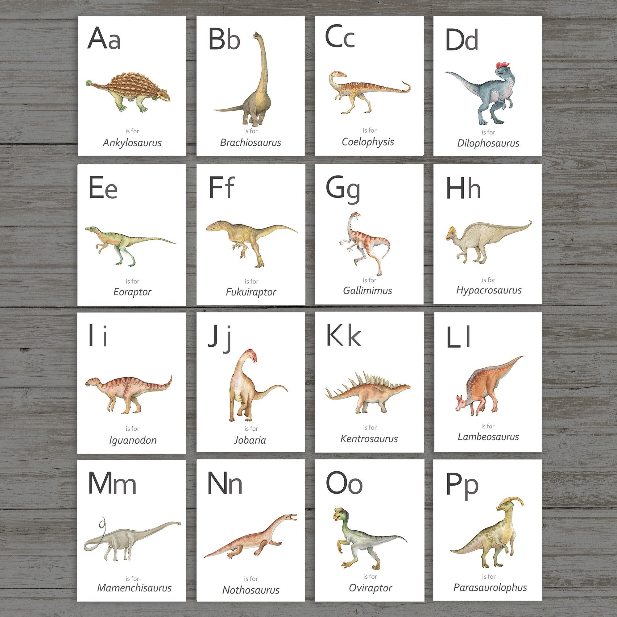Dinosaur Flash Cards Printable ABC Cards Alphabet Cards - Etsy Australia