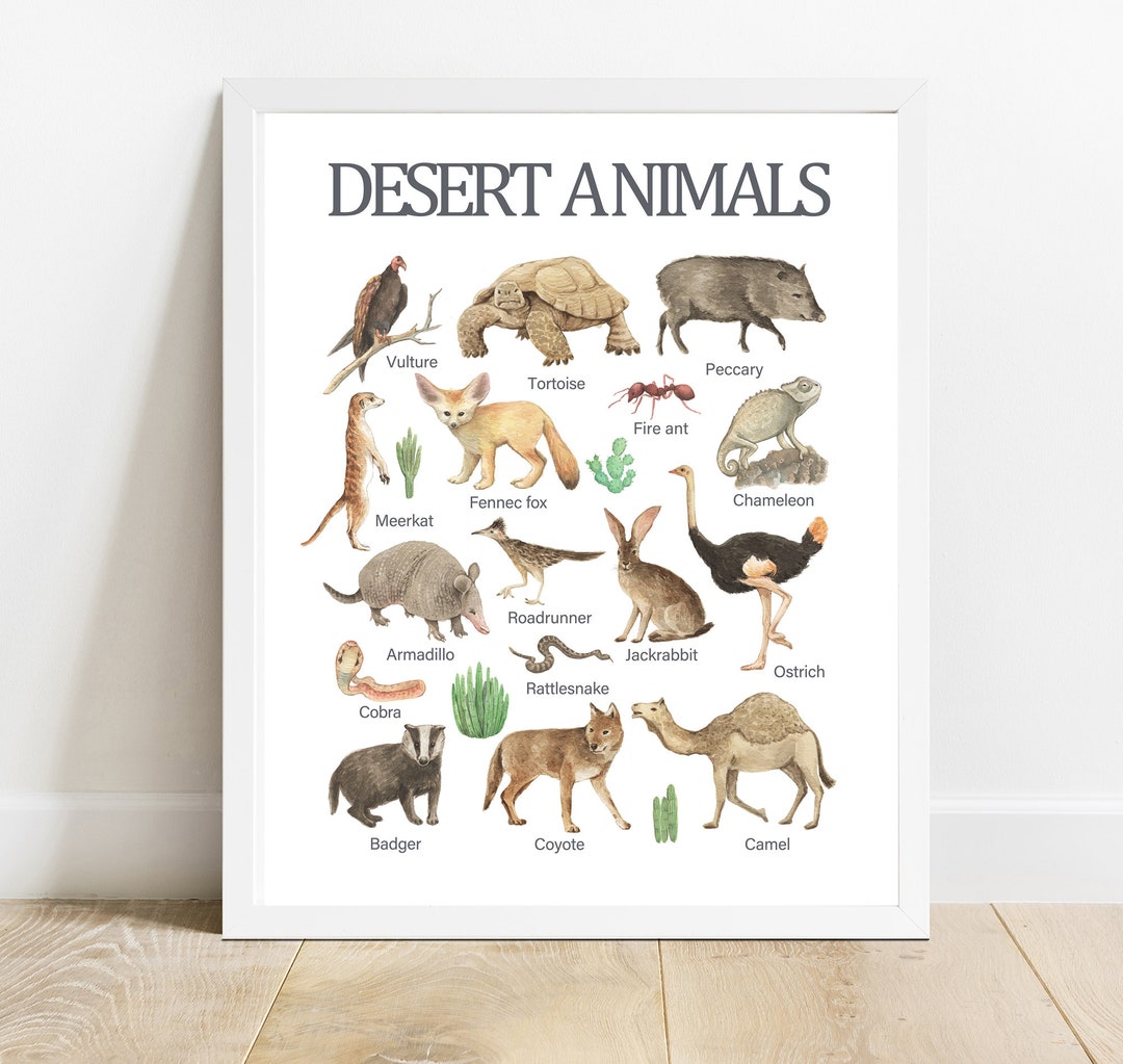 Desert Animals, Educational Printable Wall Art, Learning Home School ...