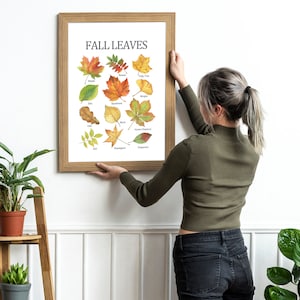 Fall Leaves Prints, Educational Printable Wall Art, Learning Home ...